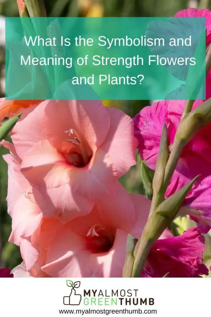 Homepage - My Almost Green Thumb